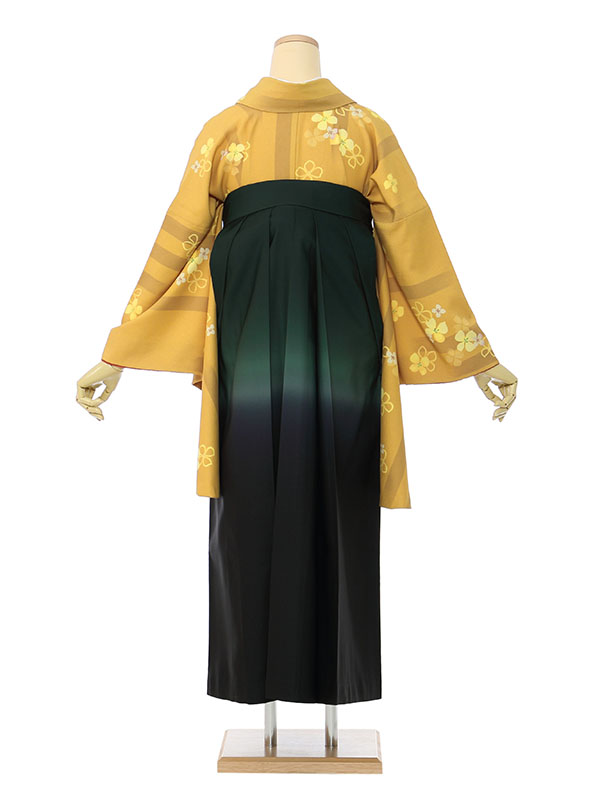 卒業袴|黄色系|R864|対応身長:153-158cm|ｻｲｽﾞ:7-13号｜全国宅配可の「e-きものレンタル」